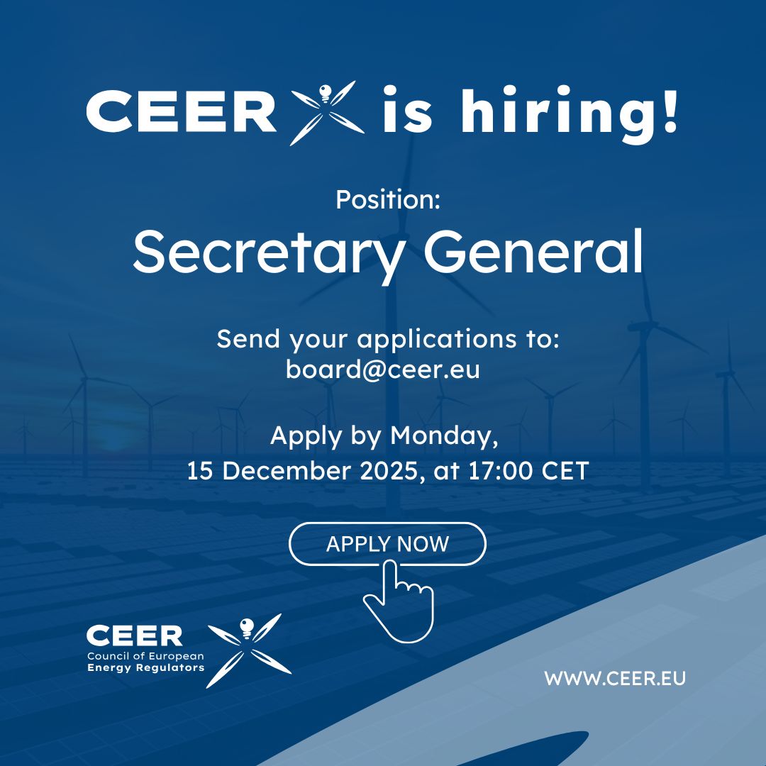 CEER is seeking a Secretary General to lead its Brussels-based Secretariat - CEER